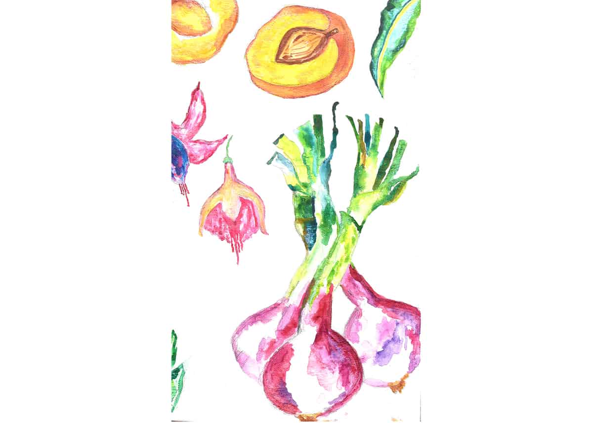 An Artist's Palette - A Pure Palate